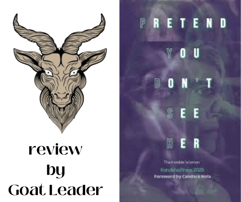 Pretend You Don’t See Her: The Invisible Woman – edited by Jill Girardi ...